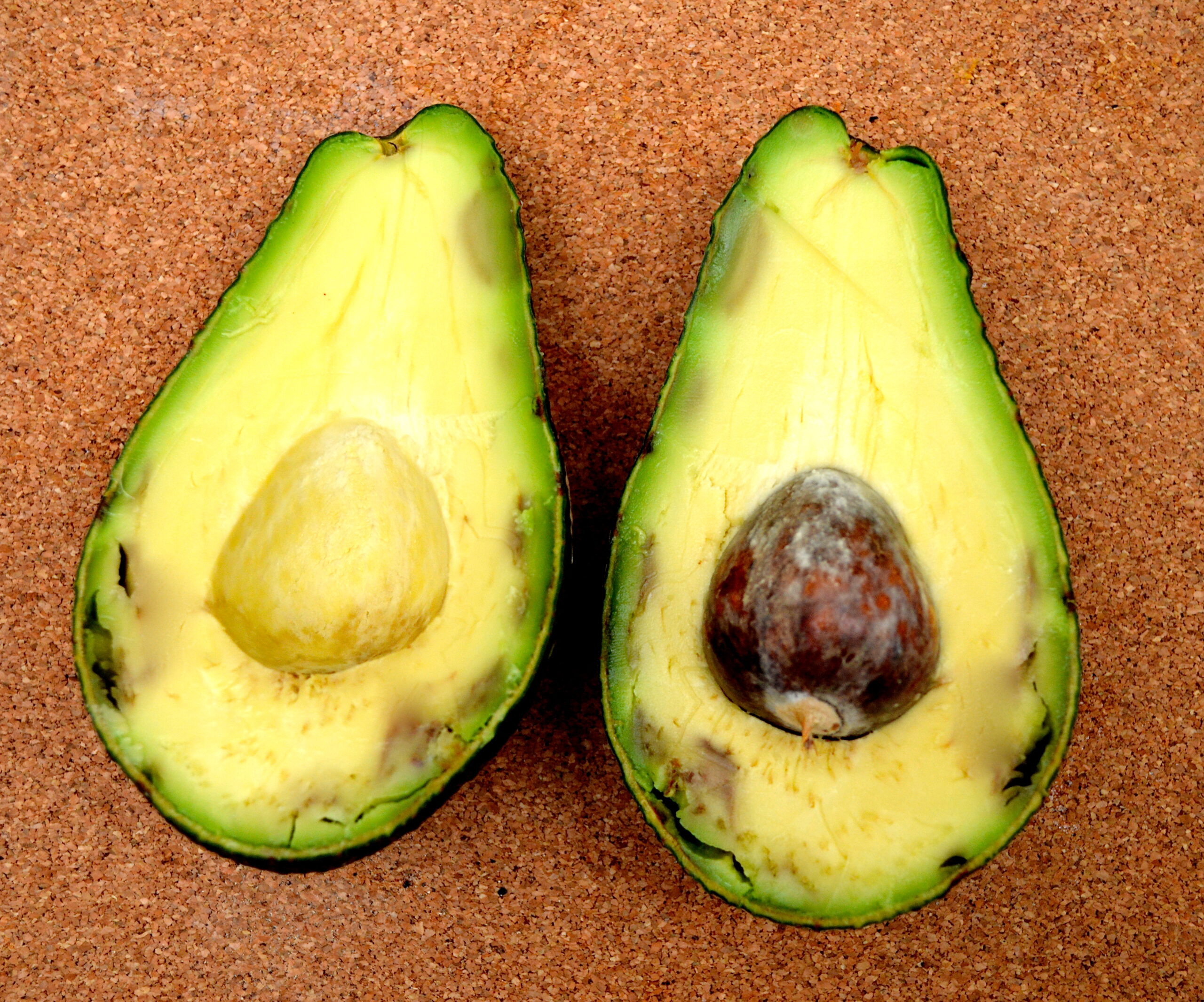 Baked eggs in avocado | Emma Porter's Kitchen